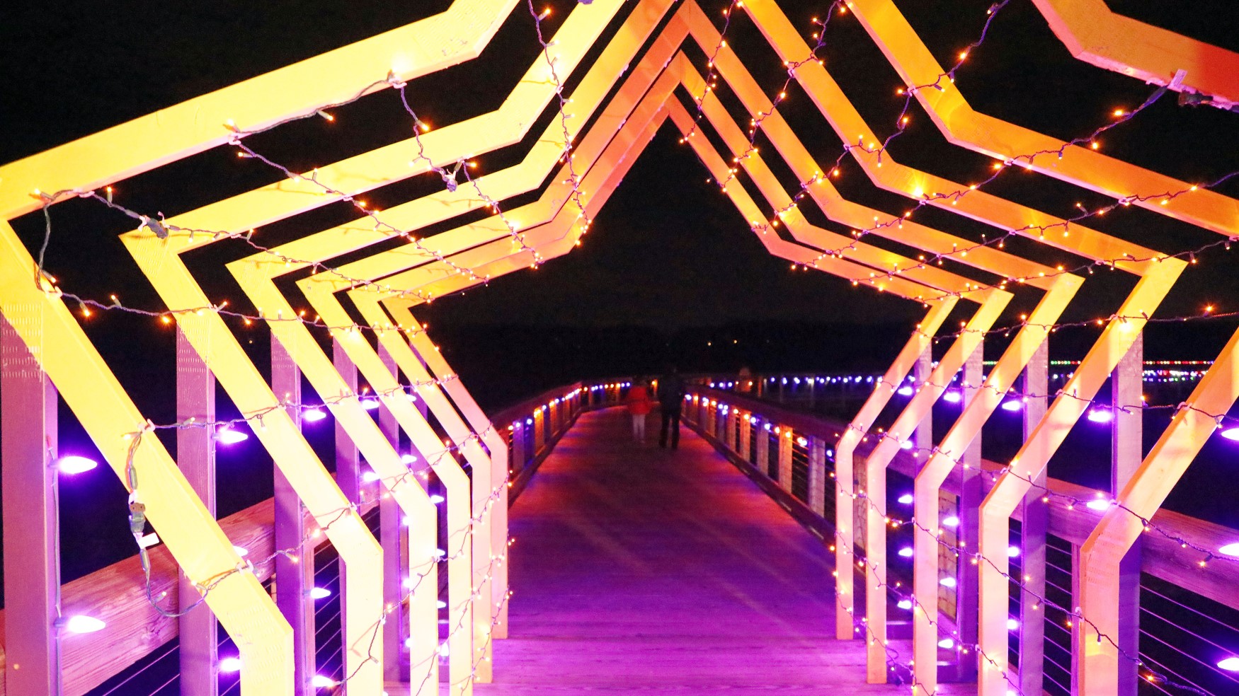 Holiday Walk of Lights