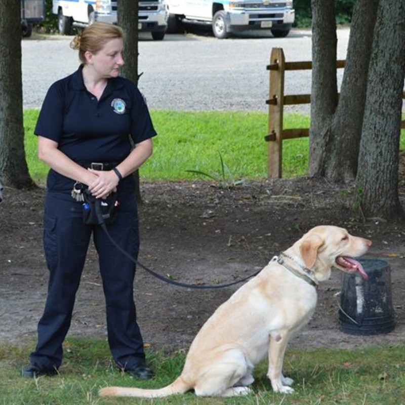 Prince William County Animal Shelter Jobs - Animal Care