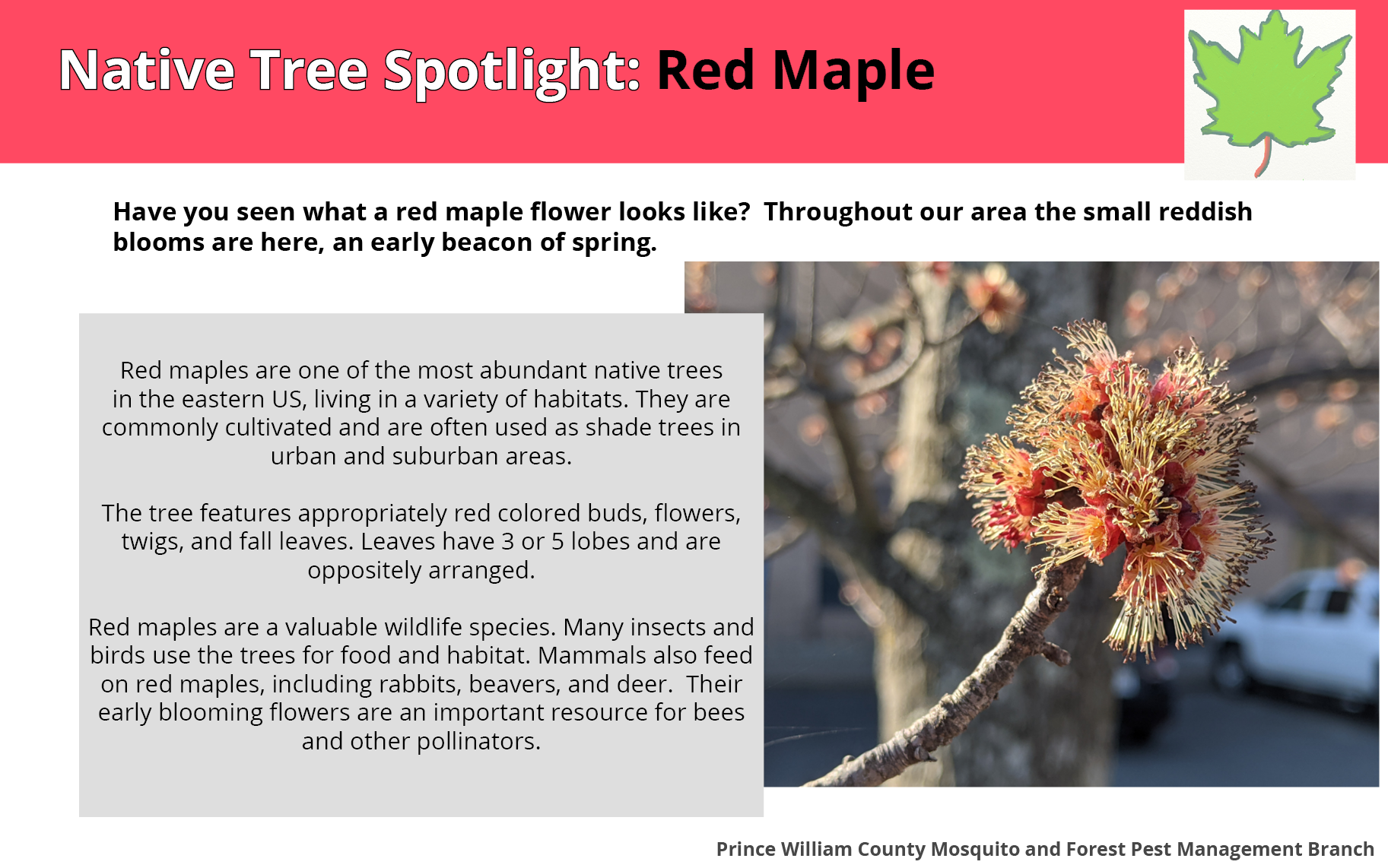 Publications and Resources