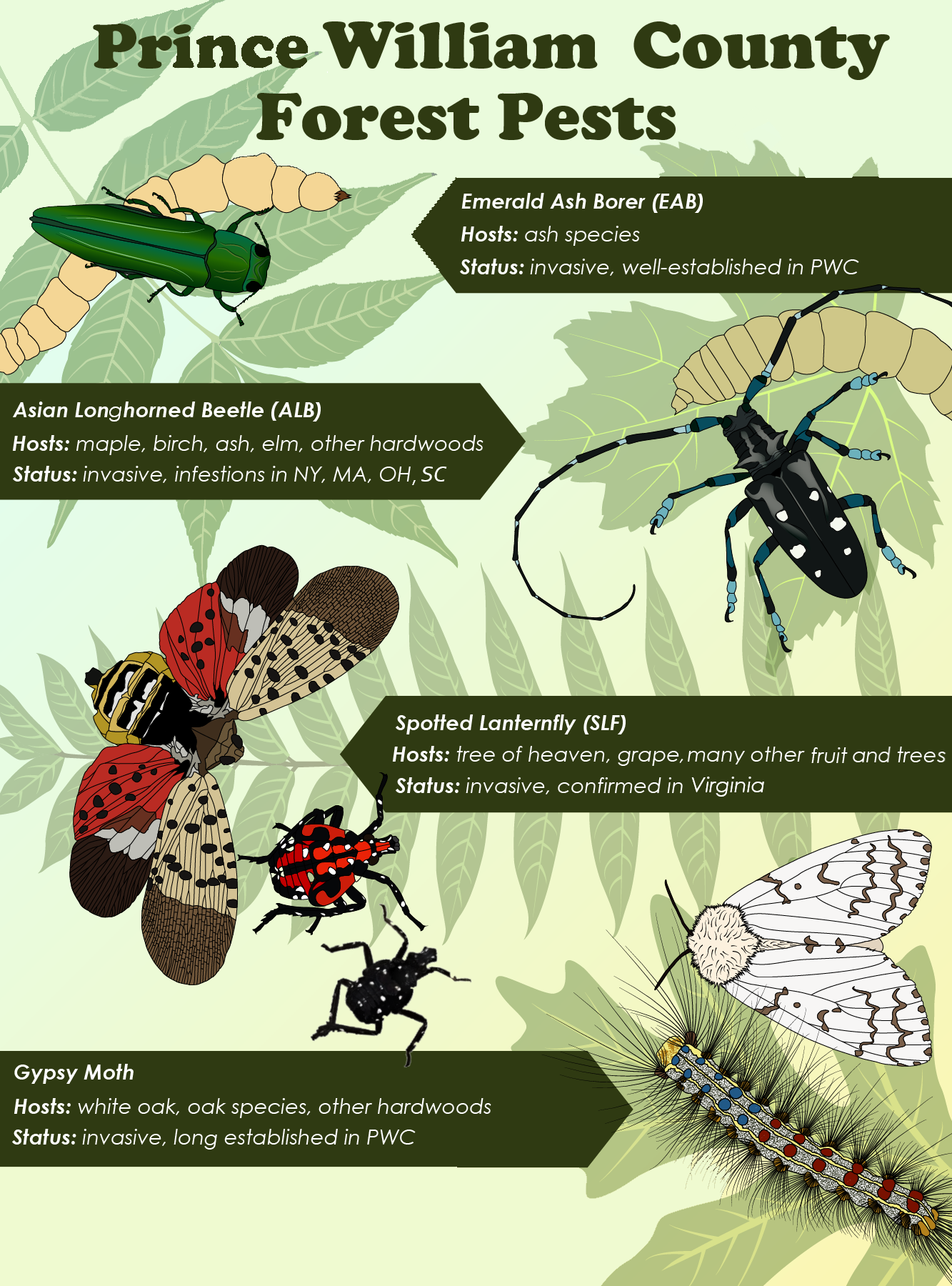 Publications and Resources